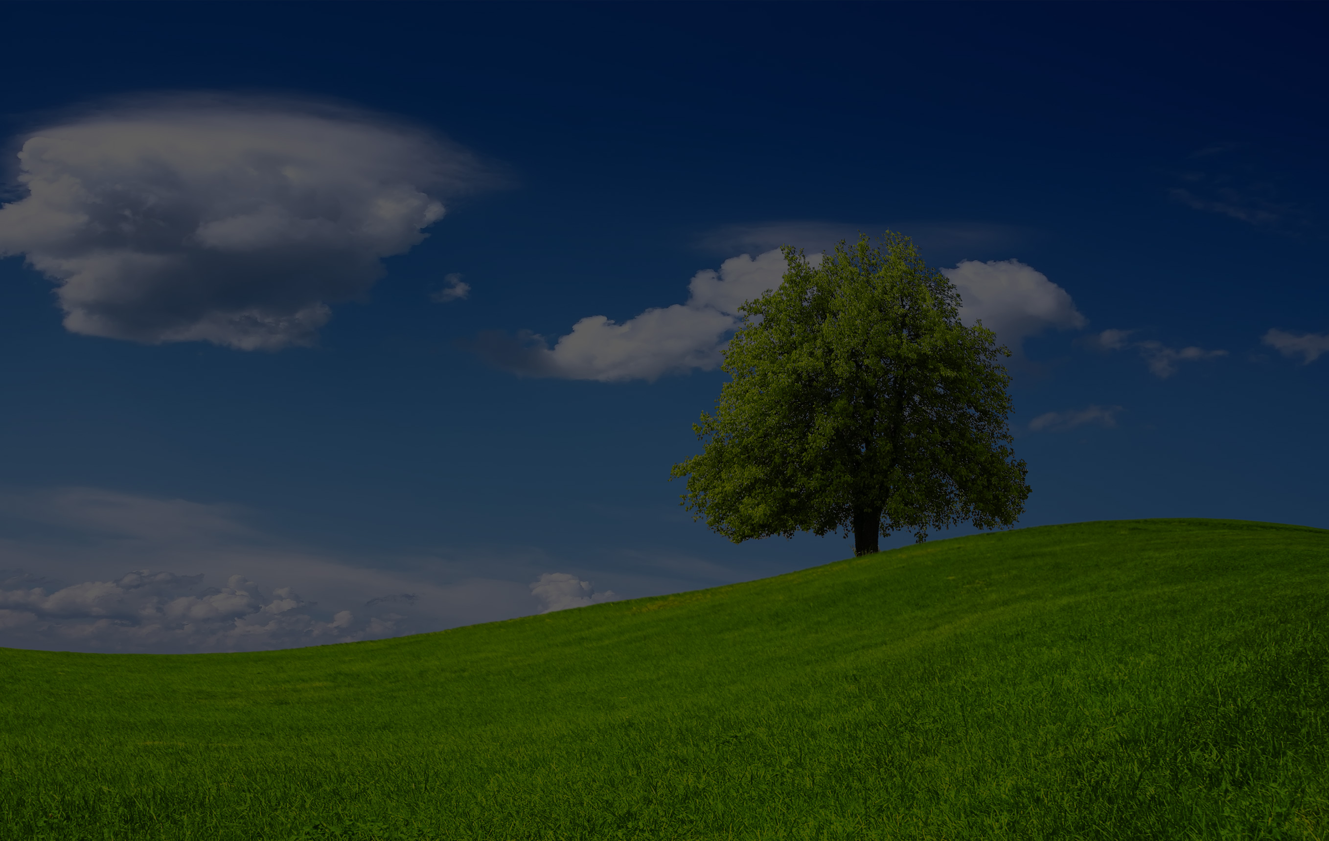 Indoor Waterfall Design: How to Design Custom Water Features